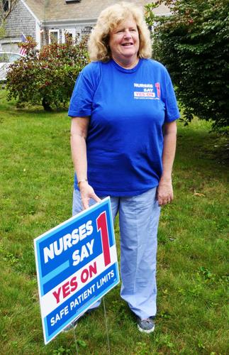 Cape Cod Healthcare And Spaulding Rehab Hospital Come Out Against ...