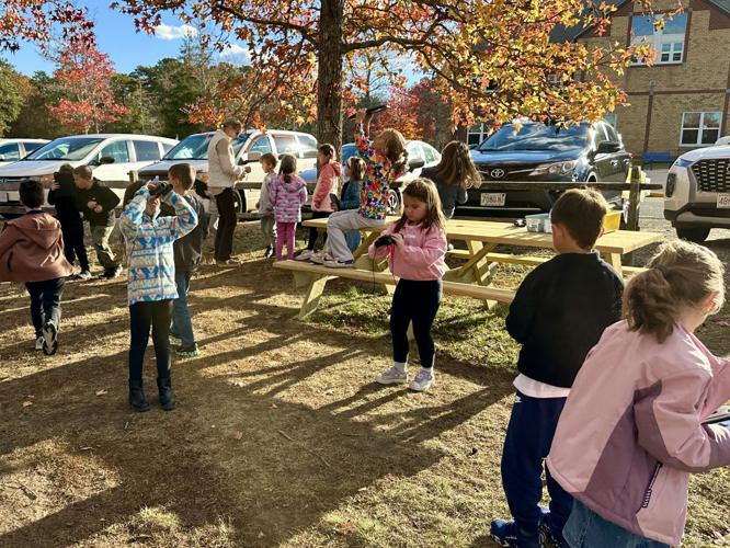 Forestdale Partners With Harvard Forest For Schoolyard Ecology Project ...