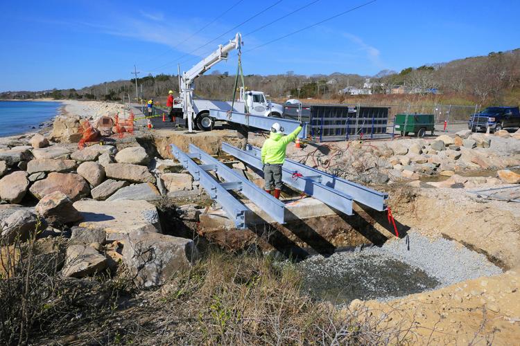 The Week In Photos - April 24, 2020 | Photography | capenews.net