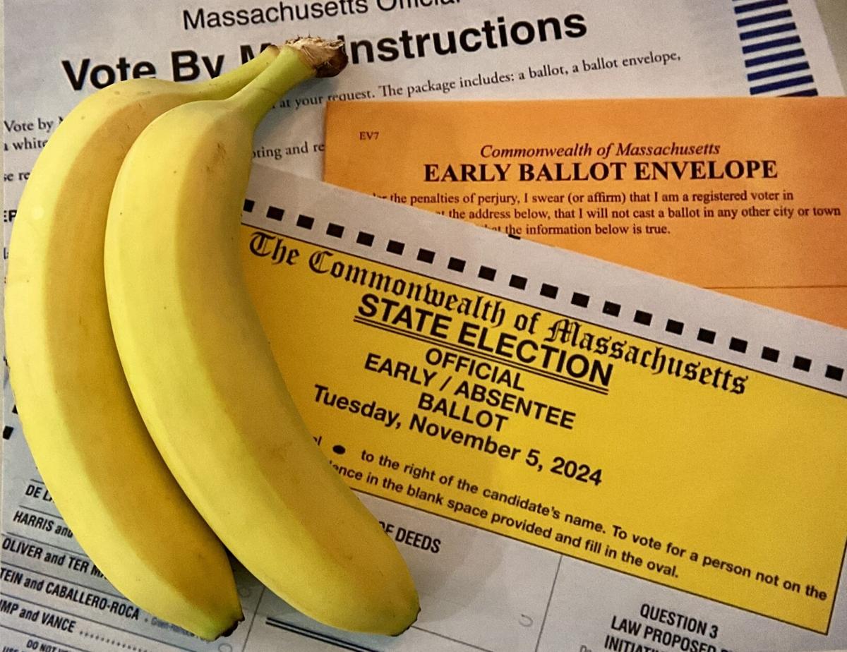 The Fine Print: A Bunch Of Banana Heads | Columns | capenews.net