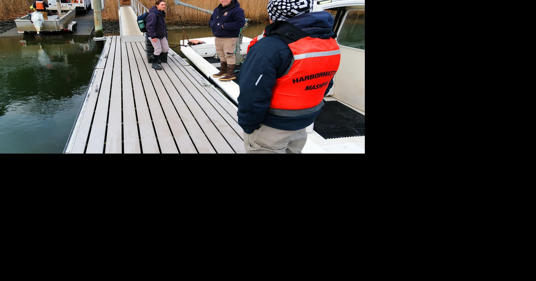 Shellfish Regulations Updated After Six Months Of Work | Mashpee News ...