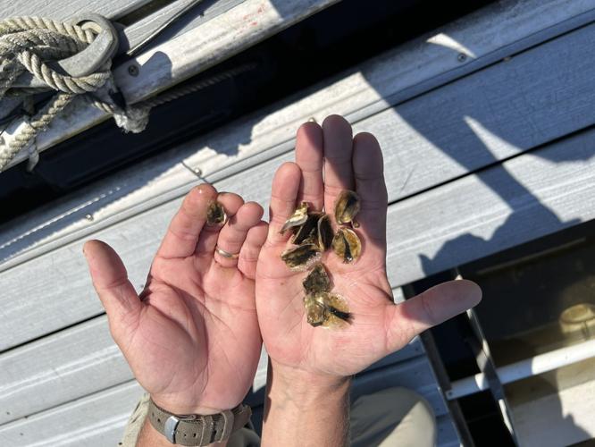 Mashpee Conservation Aims To Raise Millions | Mashpee News | capenews.net