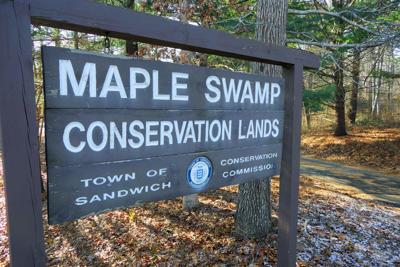 Maple Swamp Soon To Become Bike-Friendly | Sandwich News | capenews.net