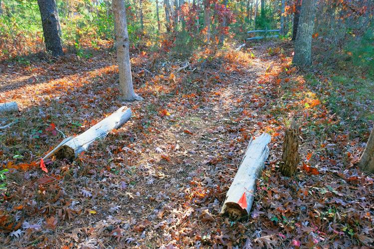 Final Addition Of Mountain Biking Trails Approved For Maple Swamp ...