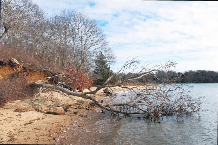Storm Brings High Water, Minor Damage | Falmouth News | capenews.net