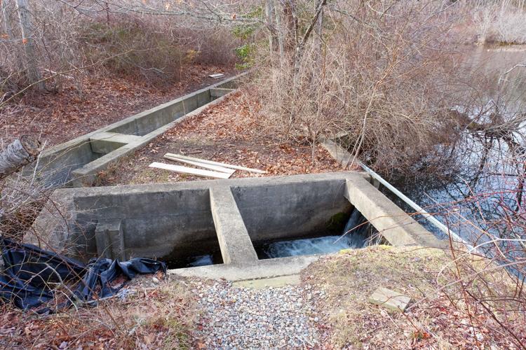 Mashpee River Dam, Fish Ladder In Need Of Restoration | Mashpee News ...