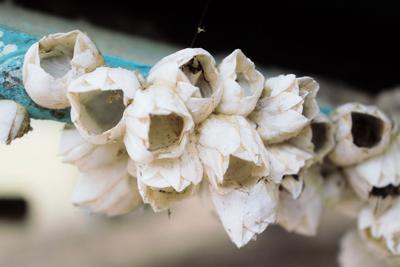 Three Shows To Open At Art Center In May | Arts & Entertainment ...