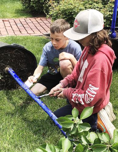 Blue Moon, Blue Suede Shoes And Now, Blue Trees At Cahoon | Arts ...