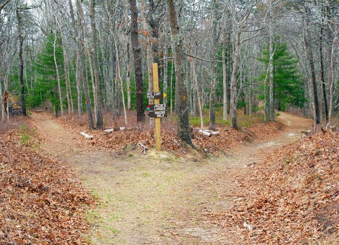 The Week In Photos - April 16, 2021 | Photography | capenews.net