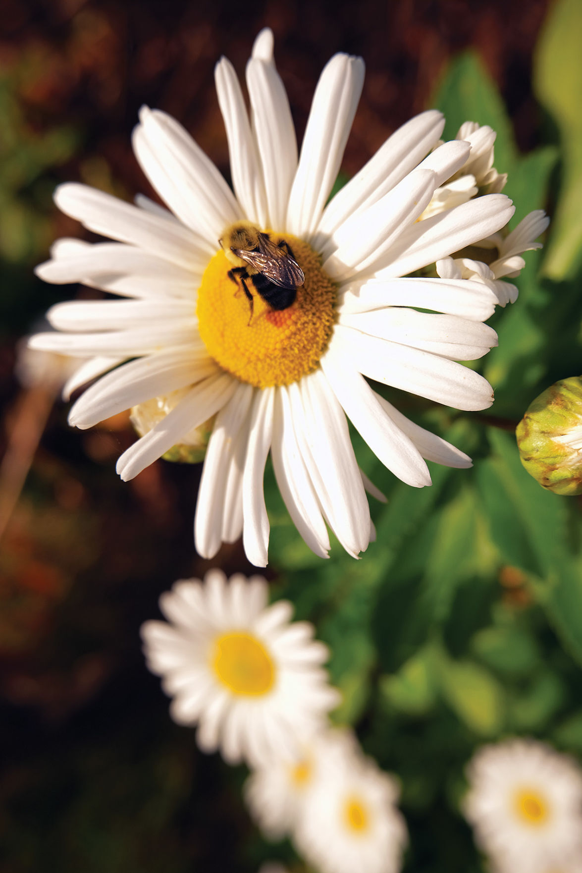 The Week In Photos - October 9, 2020 | Photography | capenews.net