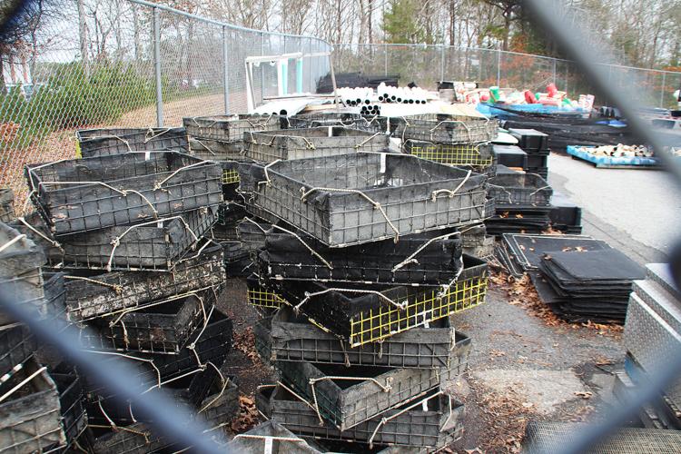 Mashpee Pursues Upgraded Technology To Protect Shellfish | Mashpee News ...