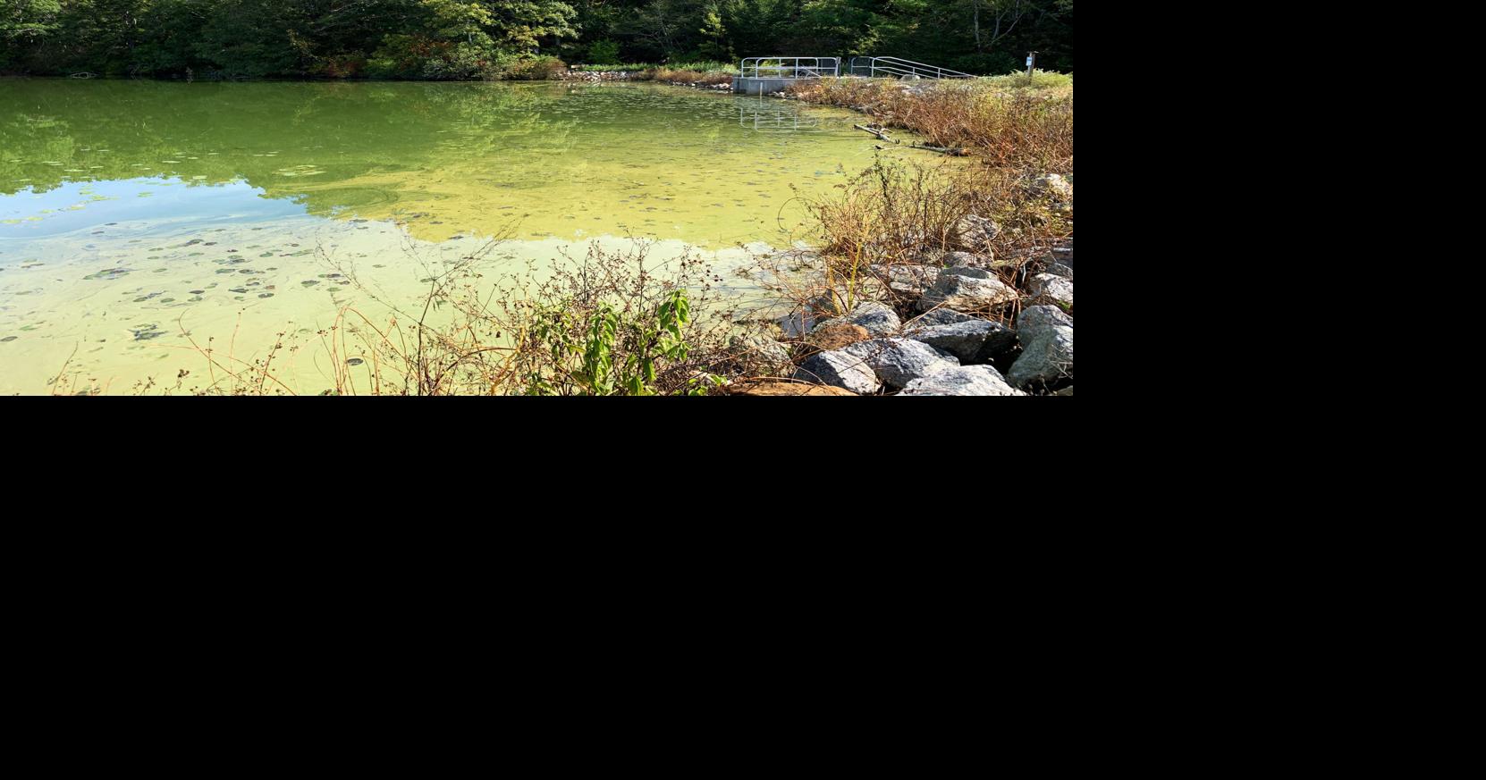 Mashpee Health Board To Enforce Santuit Septic Survey With Fines ...