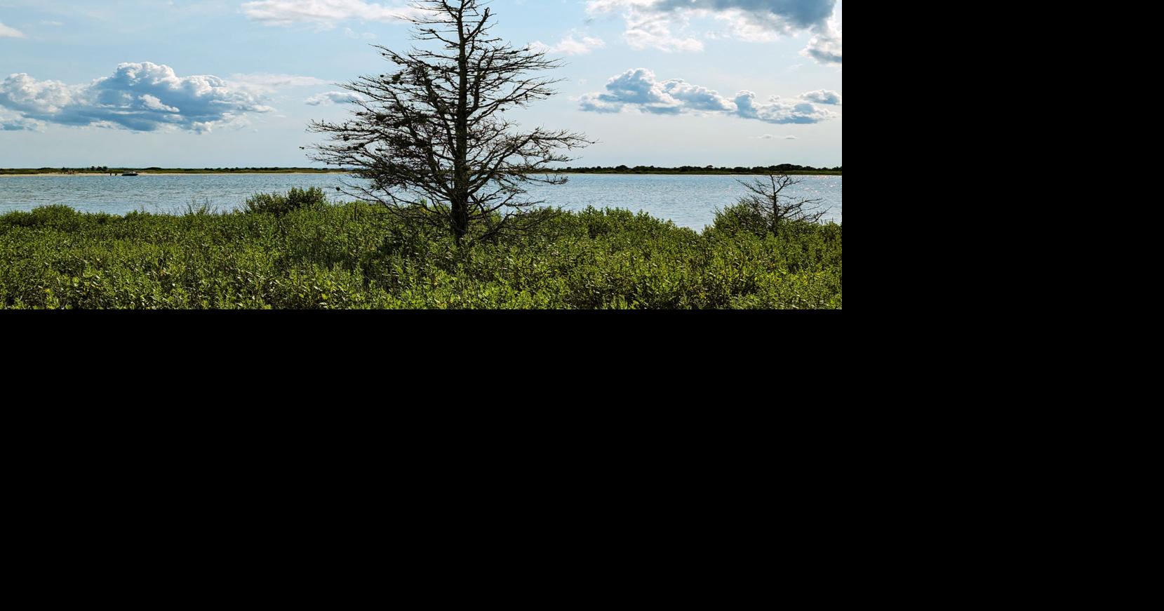 Waquoit Bay | Uploaded Photos | capenews.net