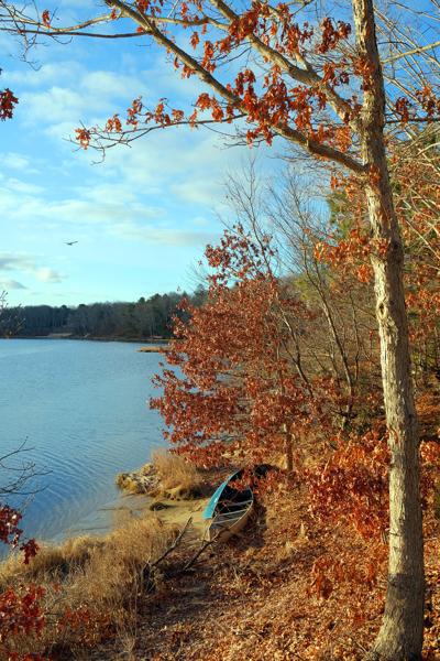 Bourne's Pond Aquaculture Study Nearing Completion | Falmouth News ...
