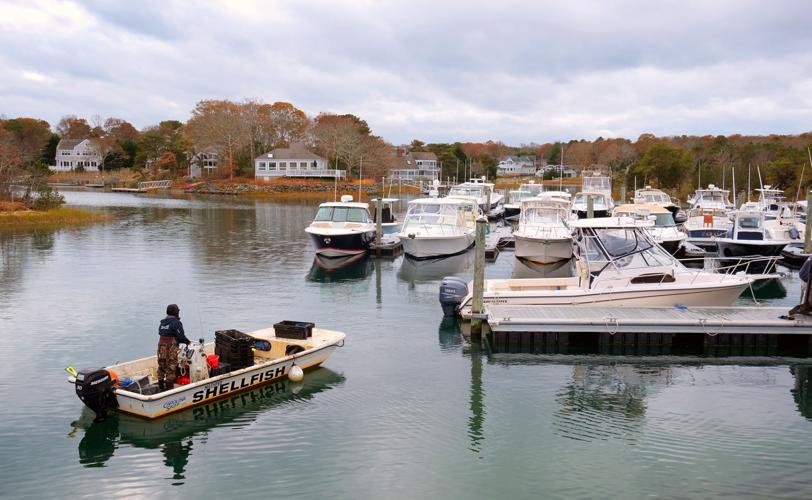 The Week In Photos - November 15, 2019 | Photography | capenews.net