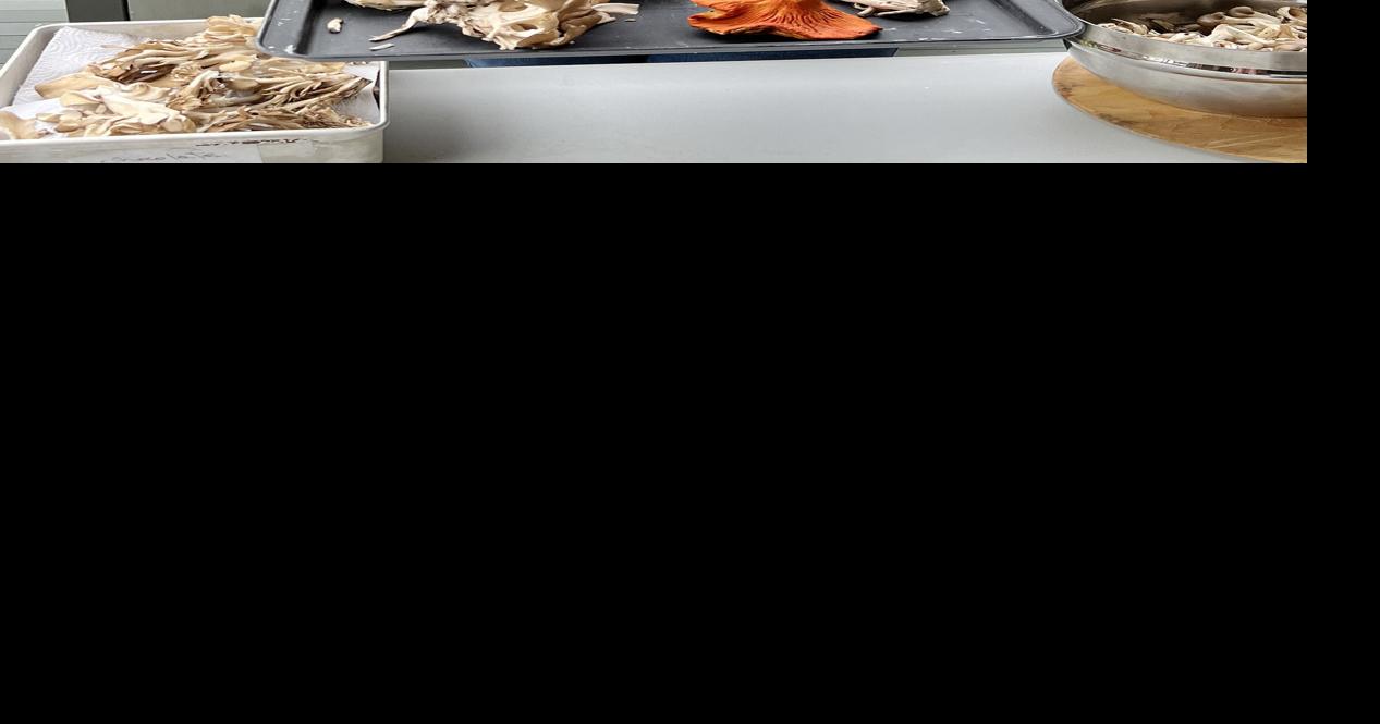 Gourmets & Good Eaters: Branching Out From Button Mushrooms | Columns ...