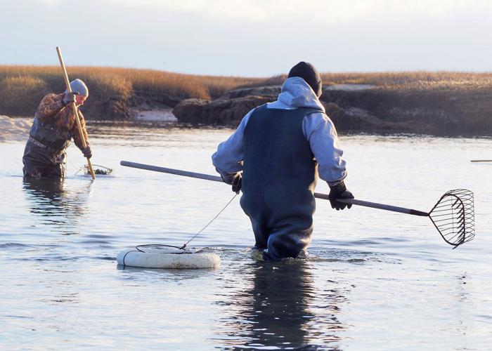 PHOTOS: Sandwich Shellfishermen Celebrate Opening Day In Mill Creek ...