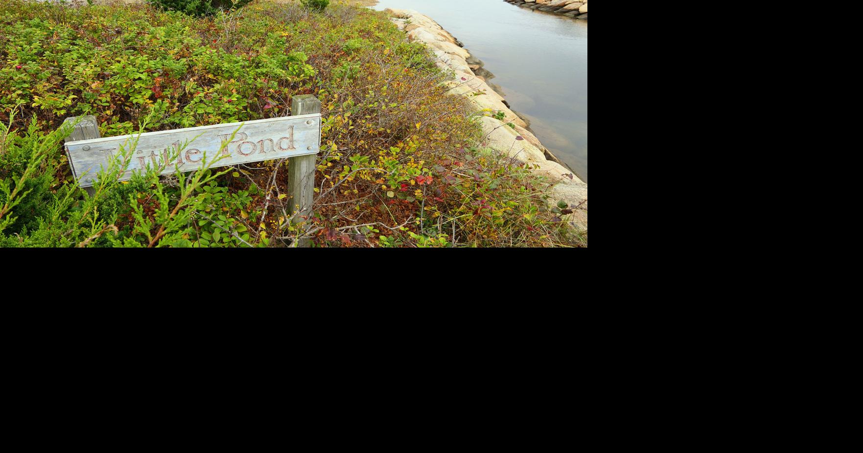 Little Pond Headwall May Hold Key To Reduce Flooding | Falmouth News ...