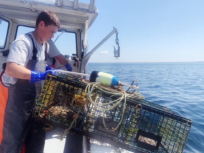 Sandwich Boy Finds Success In Commercial Lobstering Business | Sandwich ...