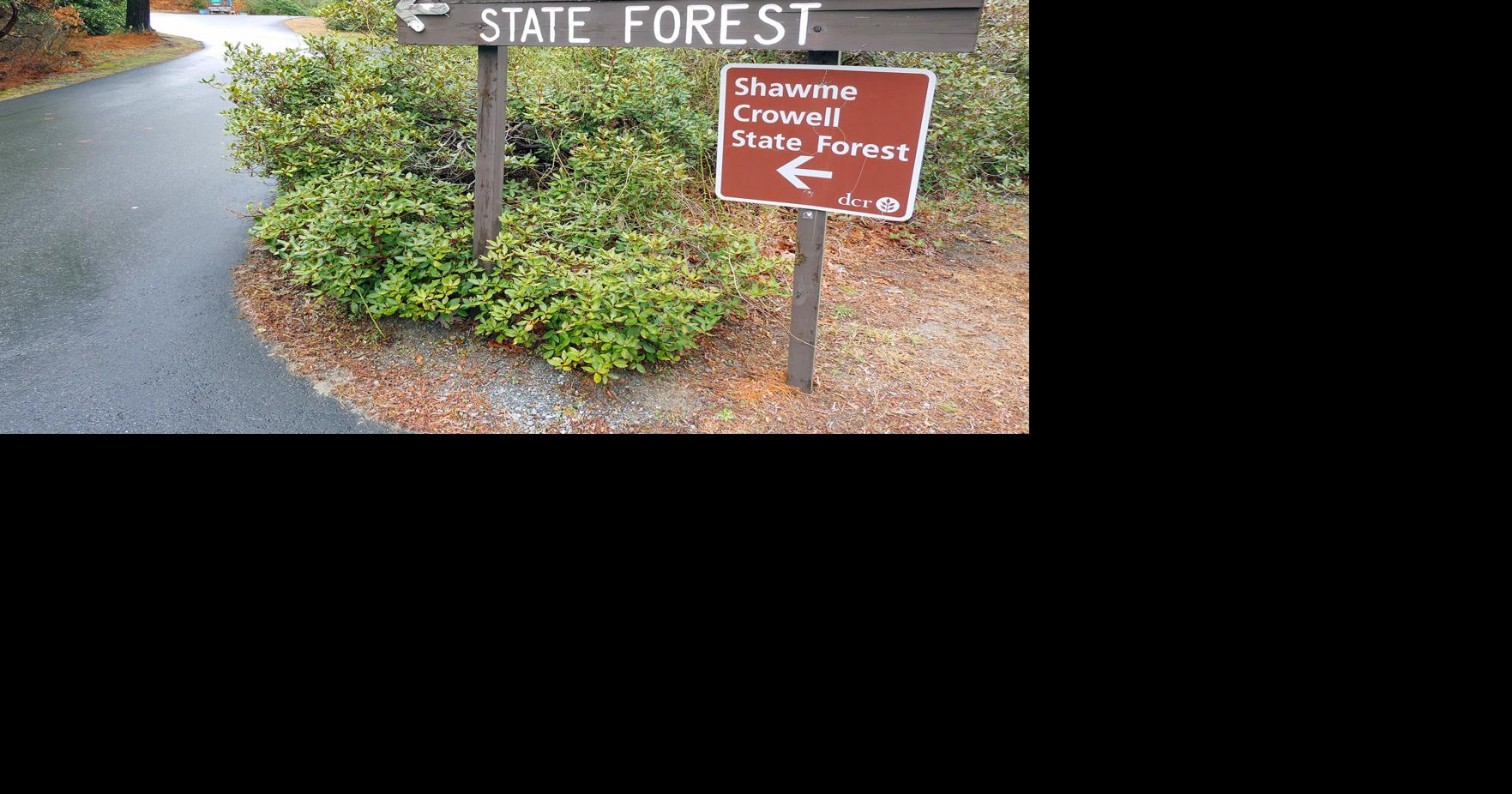 Fuel Spill Causes Fire At Shawme-Crowell State Forest | Sandwich News ...
