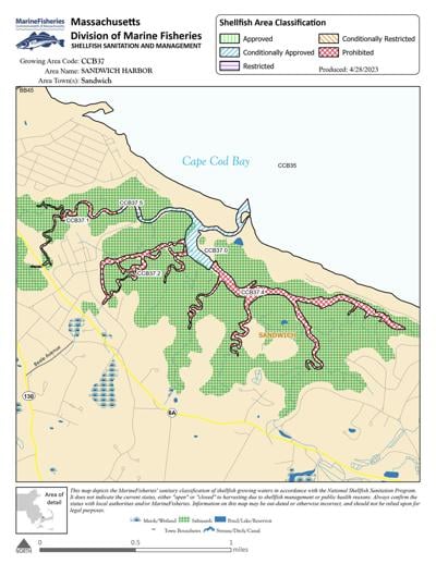 Boardwalk Area To Be Open For Shellfishing | Sandwich News | capenews.net