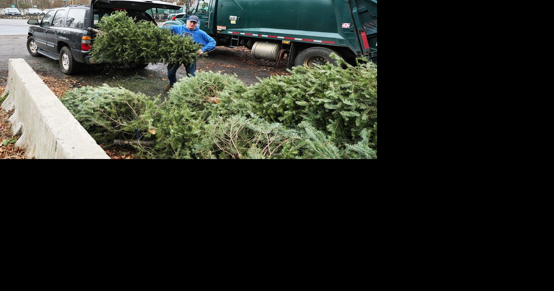Tree Dumping Off To A Slow Start, Residents Encouraged To Recycle Their ...