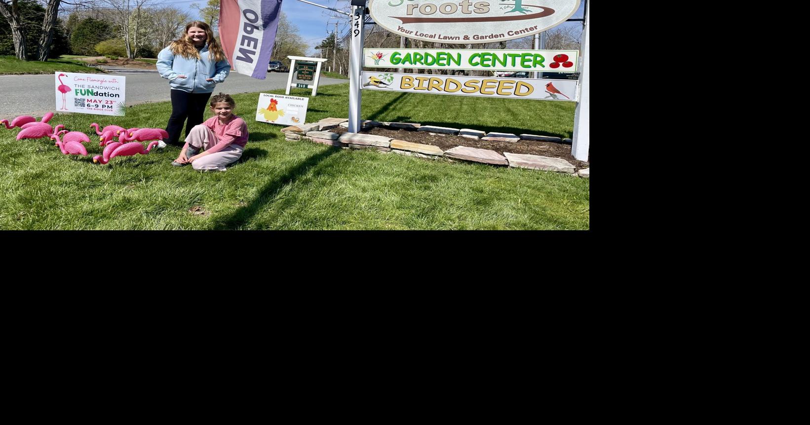 The Fine Print: Flocking Together | Columns | capenews.net