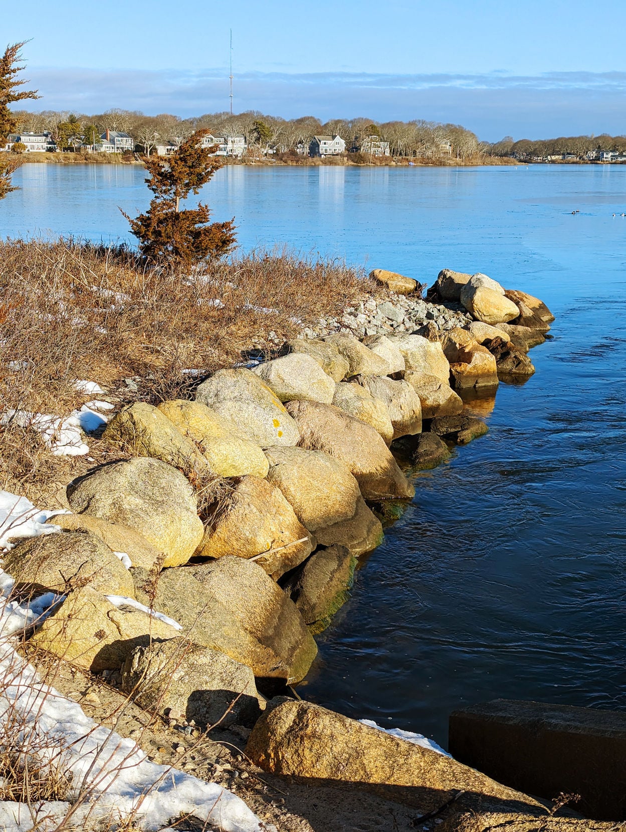 Little Pond Leads The Way As Falmouth Maps Out Nitrogen Reduction Plans ...