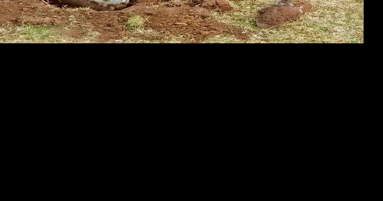 Nye Museum Hosts Talk With Archaeologist & Historian David Wheelock ...