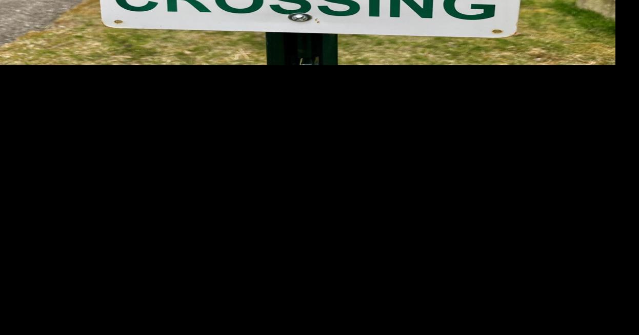 Tales From Granny Squannit: Turtle Island | Columns | capenews.net