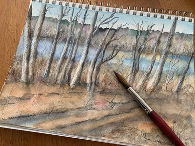 Nature Watch: Welcoming The Light | Columns | capenews.net