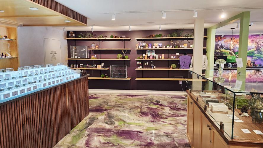 New Mashpee Cannabis Dispensary To Open February 19 | Mashpee News ...