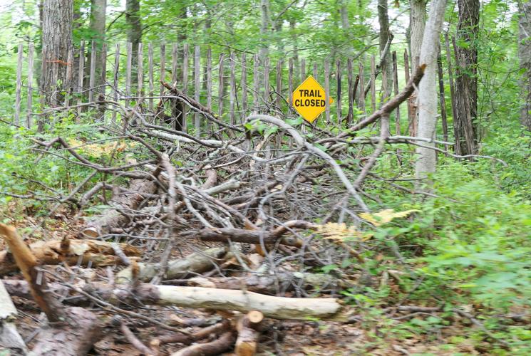 Maple Swamp Offers Visitors New Highs | Regional News | capenews.net