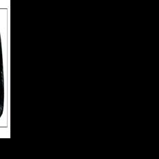 A New Design For Friends Of Falmouth Dogs Bumper Sticker | Falmouth ...