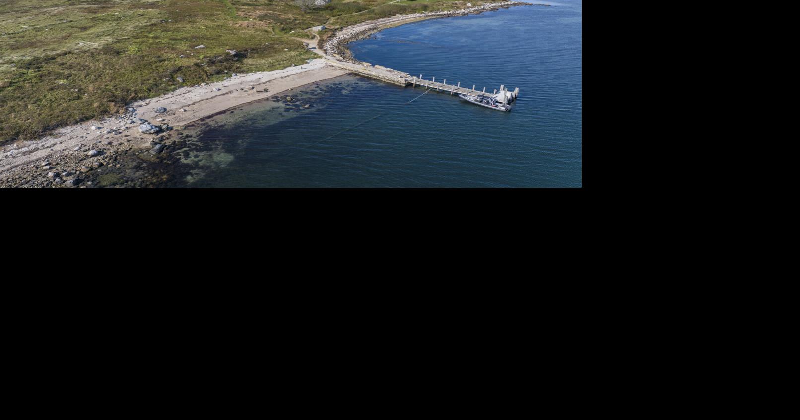 Penikese Island Celebrates 150 Years Of Botanical Surveys | Falmouth ...