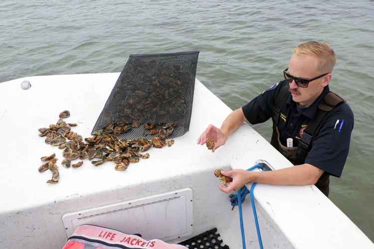 Mashpee Shellfish Warden Looks To Reenvision Aquaculture Program ...