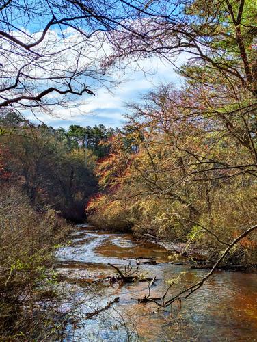 Select Board Makes Headway With Mashpee River Fishway Dam | Mashpee ...