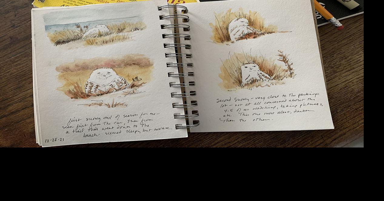 Weekly Nature Watch: The Gift Of Keeping A Nature Journal | Columns ...