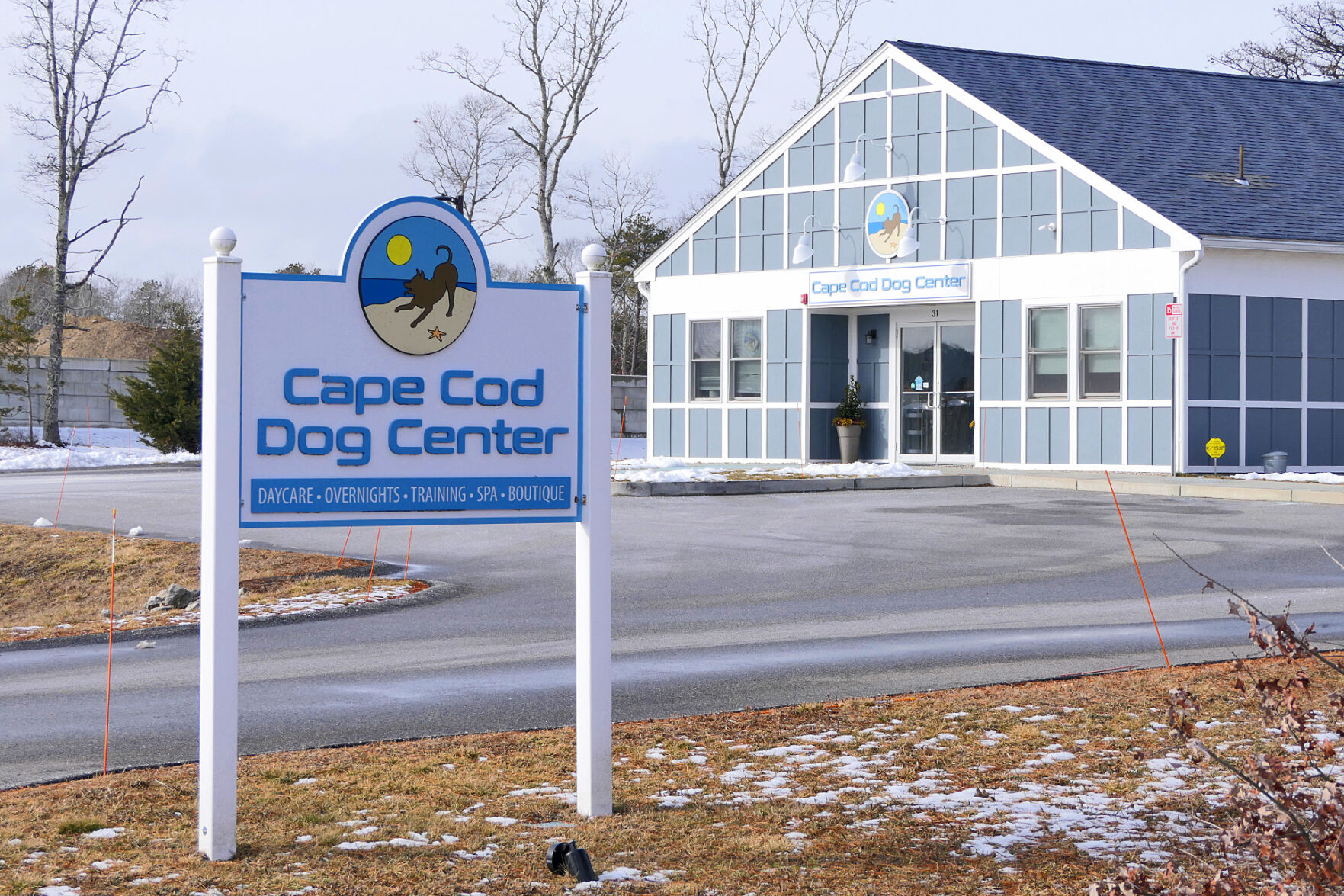 Public Hearing For Cape Cod Dog Center License Renewal Is Jan. 13 ...