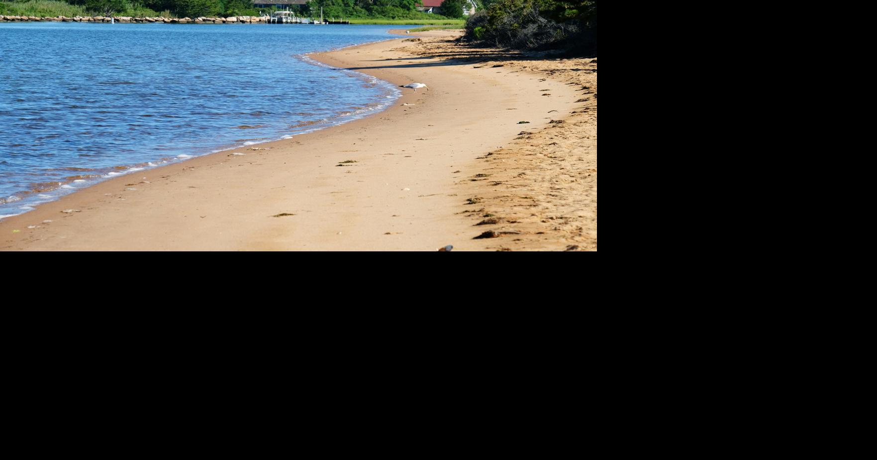 Callie’s Beach | Uploaded Photos | capenews.net