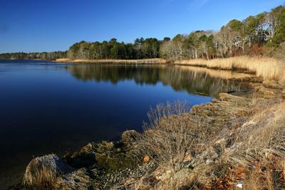 Granny Squannit: Honoring The Sachem’s Place | Columns | capenews.net