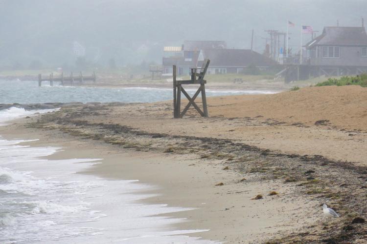 The Week In Photos - September 4, 2020 | Photography | capenews.net