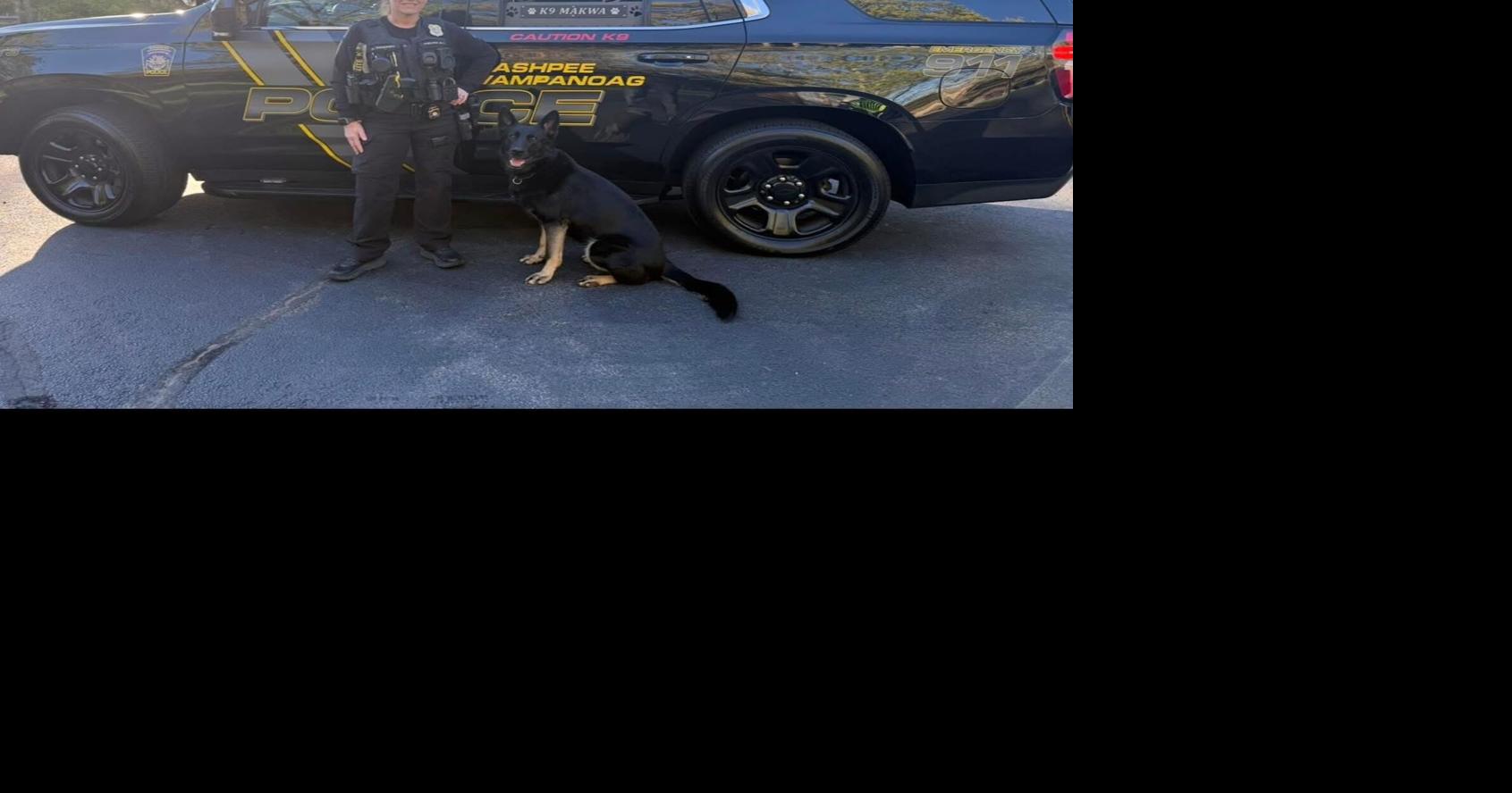Mashpee Wampanoag Police K-9 To Get Body Armor Donation | Mashpee ...