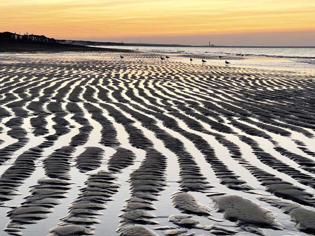 Select Board Previews FY27 Budget, Discusses Long-Range Plan | Sandwich ...