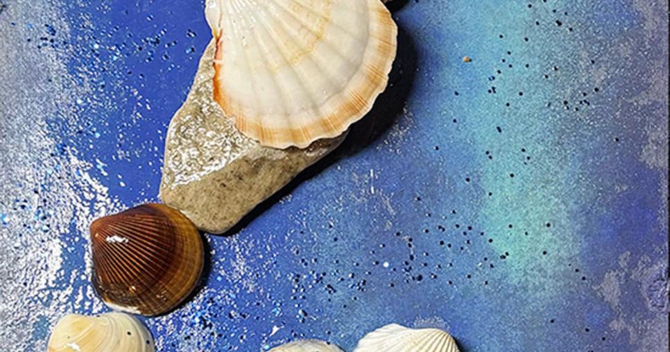 “Magical Seashells” by Donna Echols On View At FCTV Gallery | Arts ...