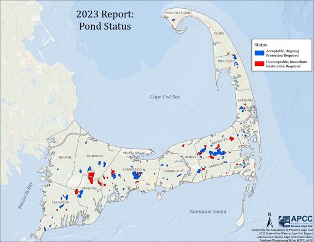 APCC: Water Quality In Cape Bays, Ponds Remained Poor In 2023 ...