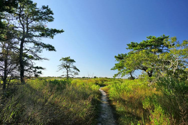 The Week In Photos - September 20, 2019 | Photography | capenews.net