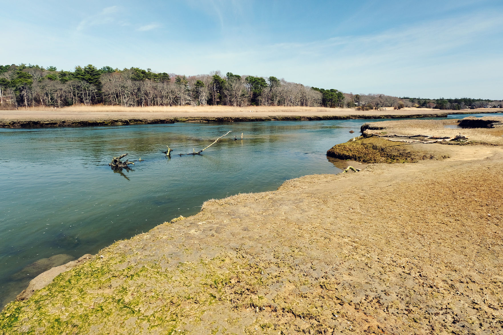 Scorton Creek Shellfish Beds Will Be Open This Season | Sandwich News ...