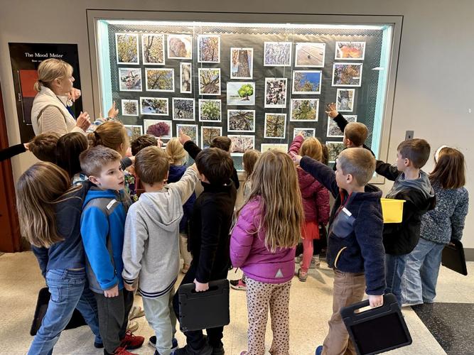 Forestdale Partners With Harvard Forest For Schoolyard Ecology Project ...