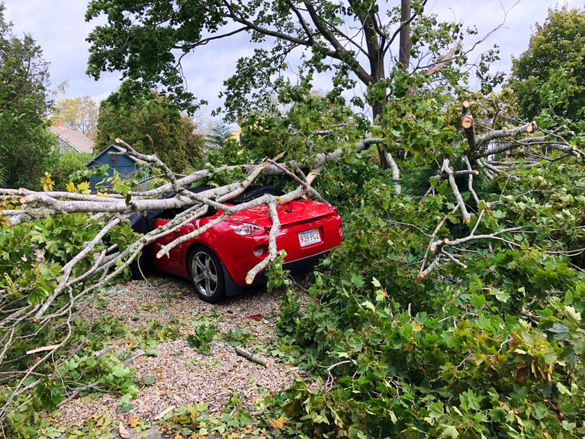 'Bomb Cyclone' Brings Explosive Damage To Upper Cape | Sandwich News ...